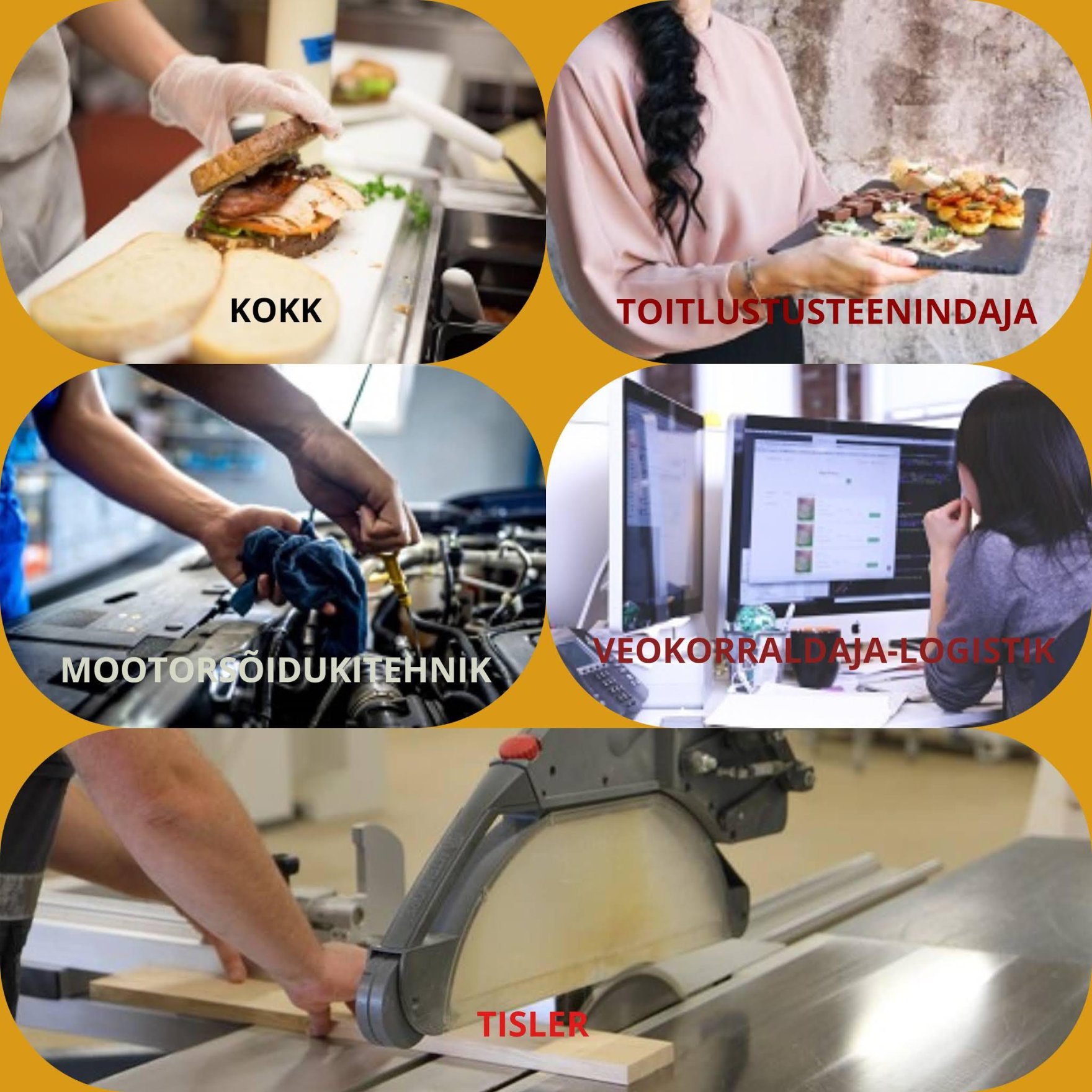 Avaldatud 10.01.2024. Viimati muudetud 10.01.2024.